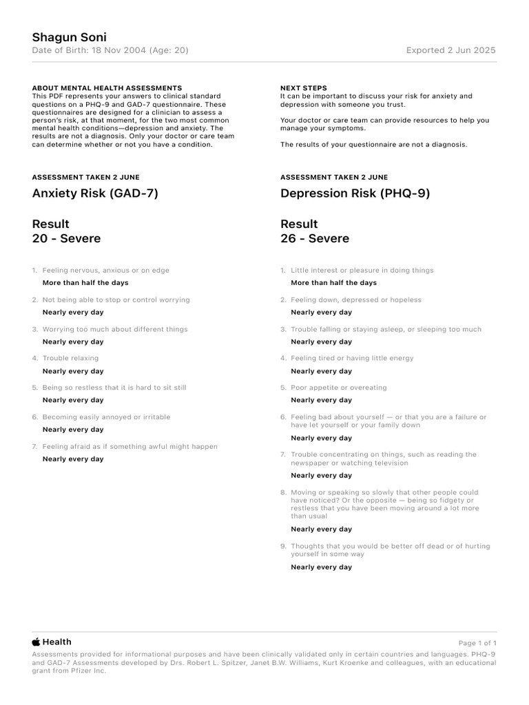 Health - Shagun Soni - Mental Wellbeing 2025-06-02 | PDF | Disability | Behavioural Sciences