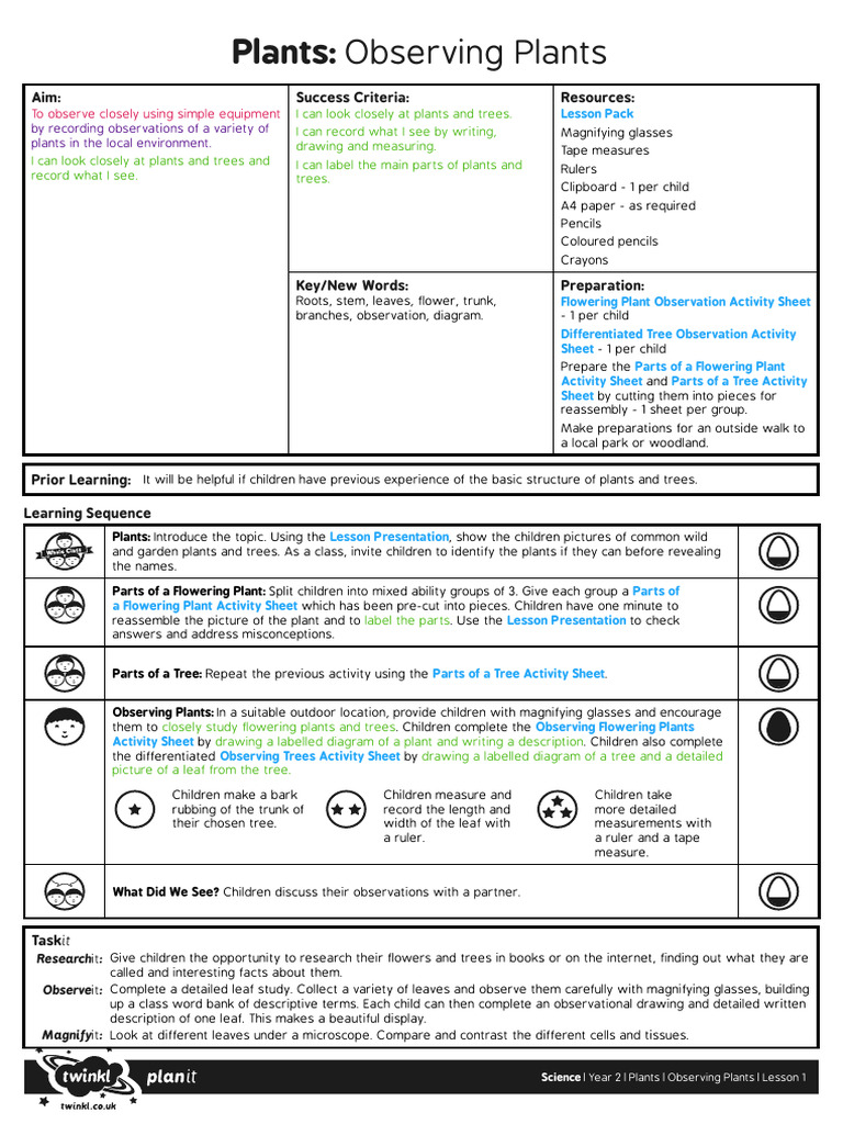 Lesson Plan Observing Plants | PDF | Trees | Plants