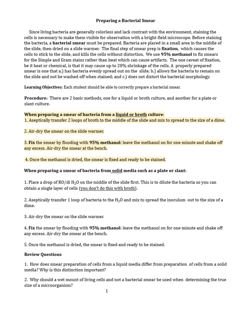 Bacterial Smear Preparation 250 2025 | PDF | Bacteria | Staining