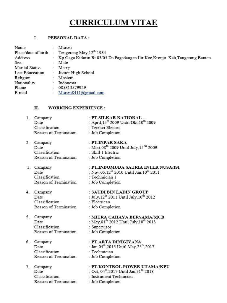 CV Mursin | PDF
