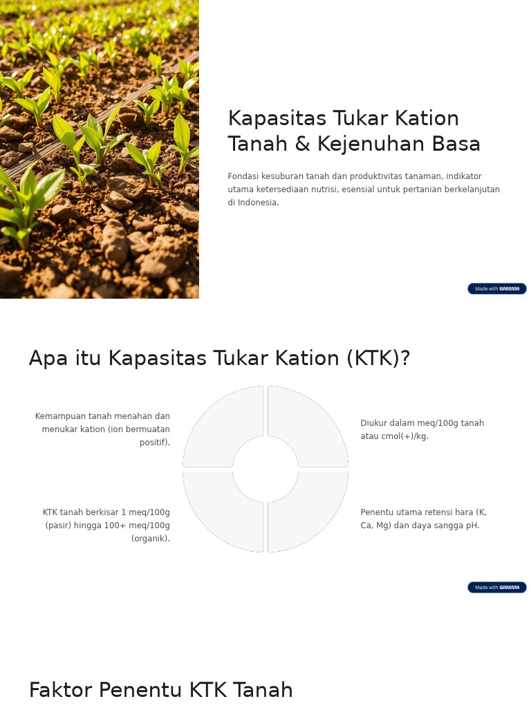 Kapasitas Tukar Kation Tanah and Kejenuhan Basa | PDF