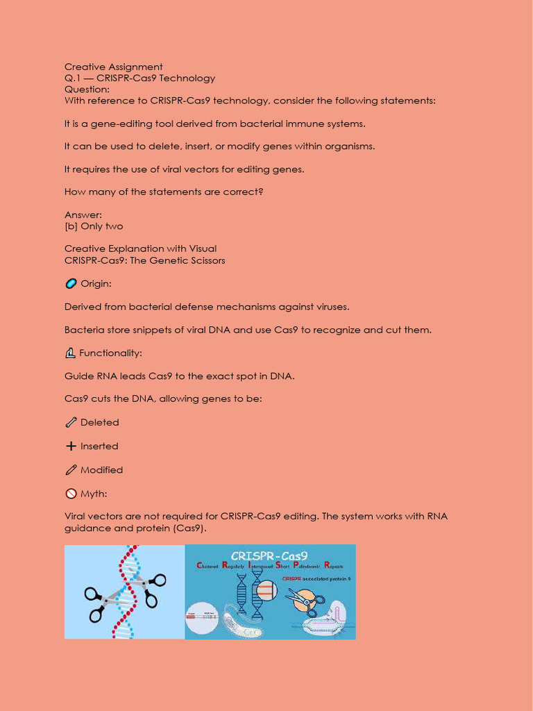 Creative Assignment Pdf 5410