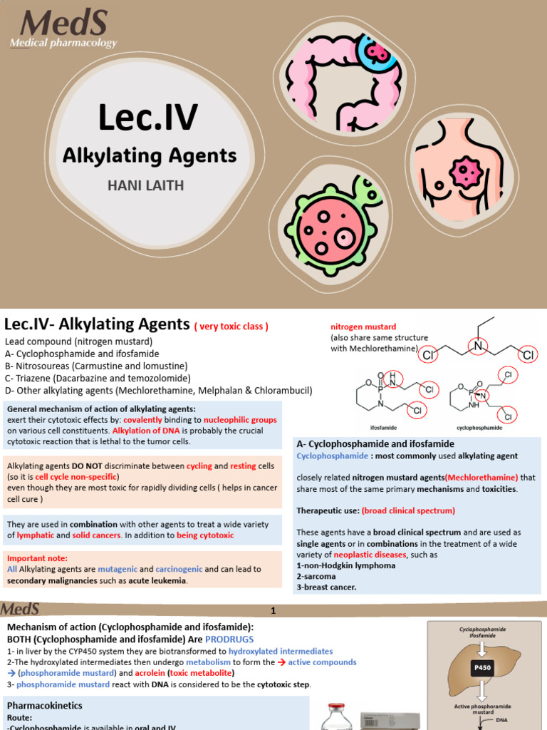 Cancer, Lec, IV Alkylating Agents MedS | PDF | Clinical Medicine ...