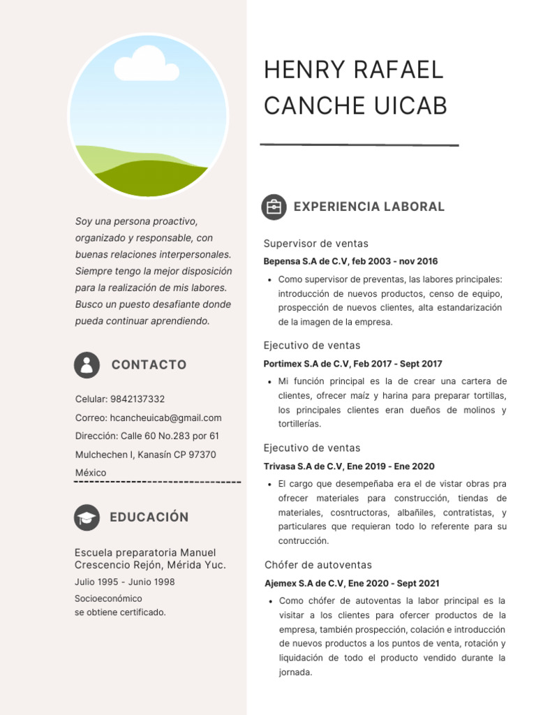 CurriculumVitaeProfesionalH Canche | PDF
