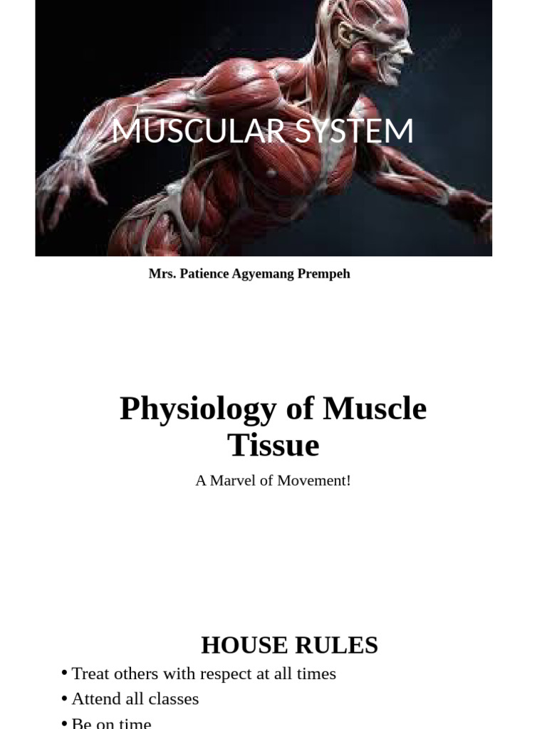 Physiology of The Skeletal System New | PDF | Muscle Contraction | Skeletal Muscle