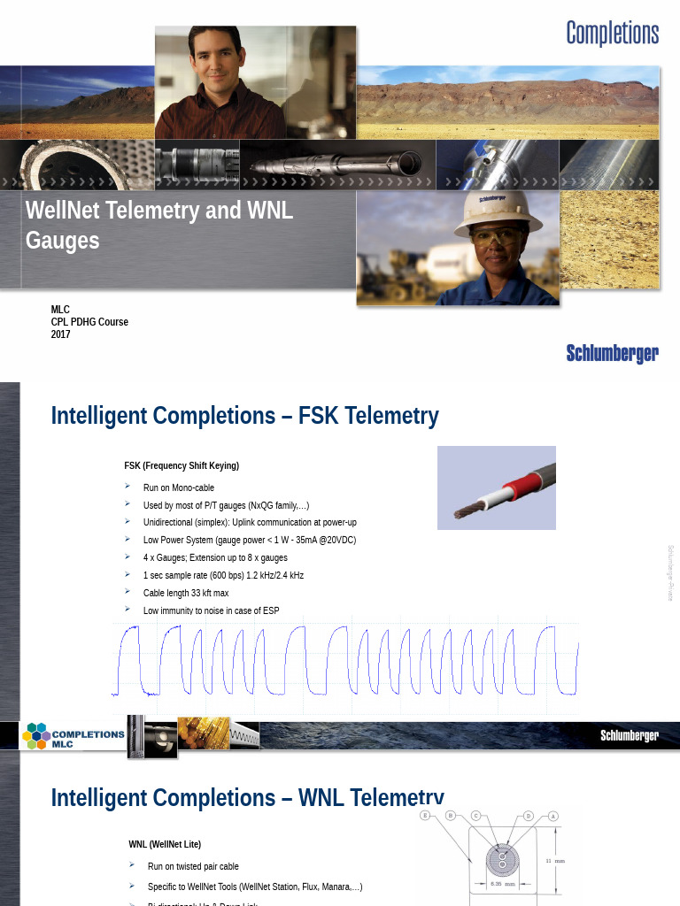 WellNet Telemetry and Gauges | PDF | Telecommunications | Information And Communications Technology