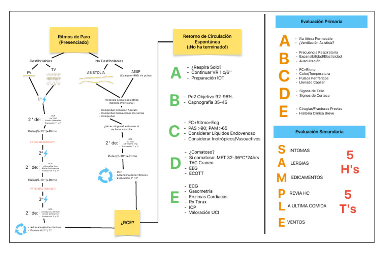 Algoritmo BLS+ACLS | PDF | Reanimación cardiopulmonar | Enfermedades y ...