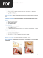 Anatomie du diaphragme stylien | PDF | Tête et cou chez l'humain ...