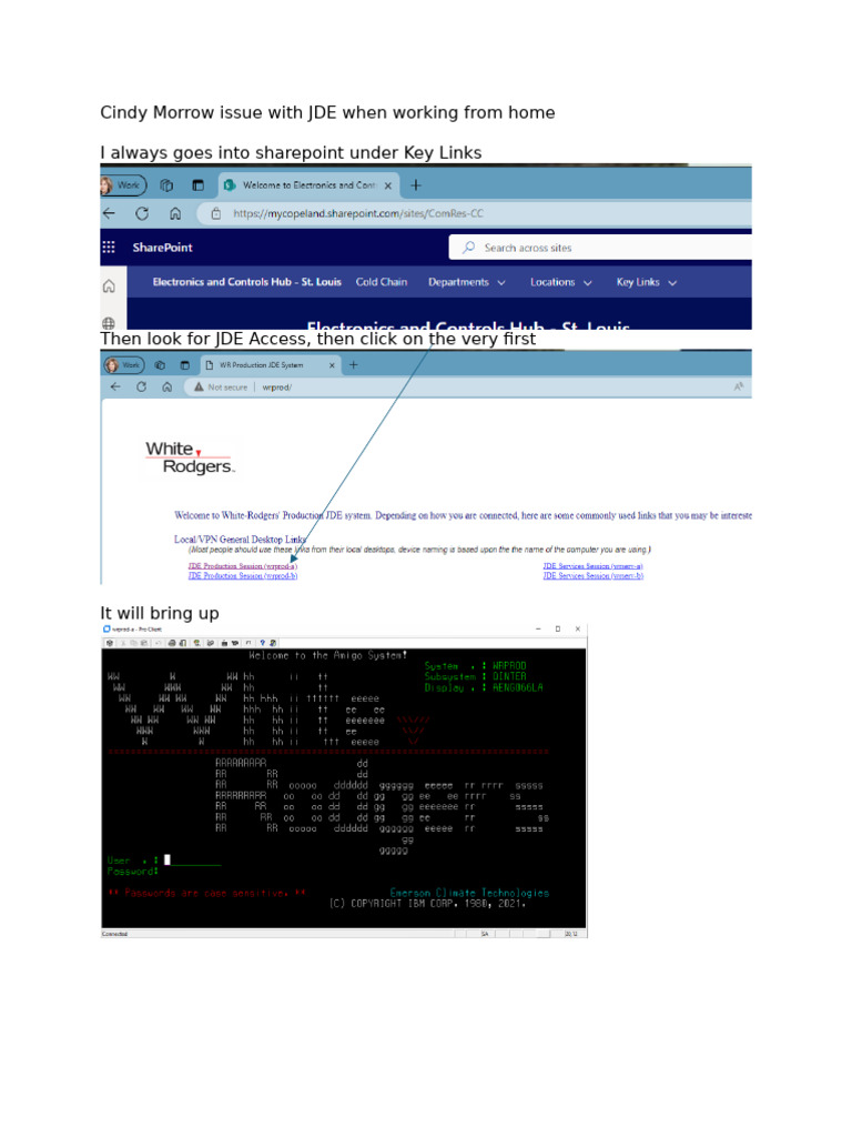 Cindy Morrow Issue With JDE When Working From Home | PDF