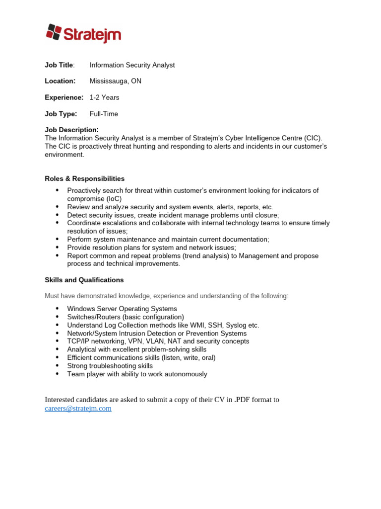 Information Security Analyst | PDF