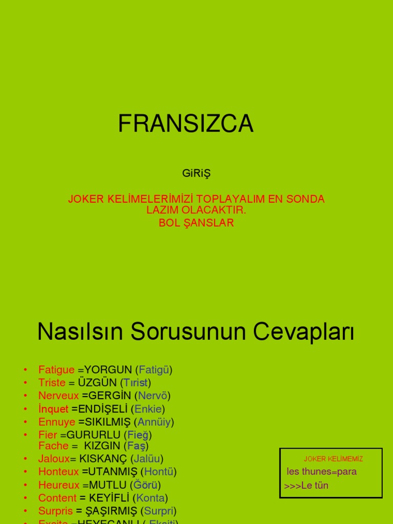 FRANSIZCA Slayt | PDF