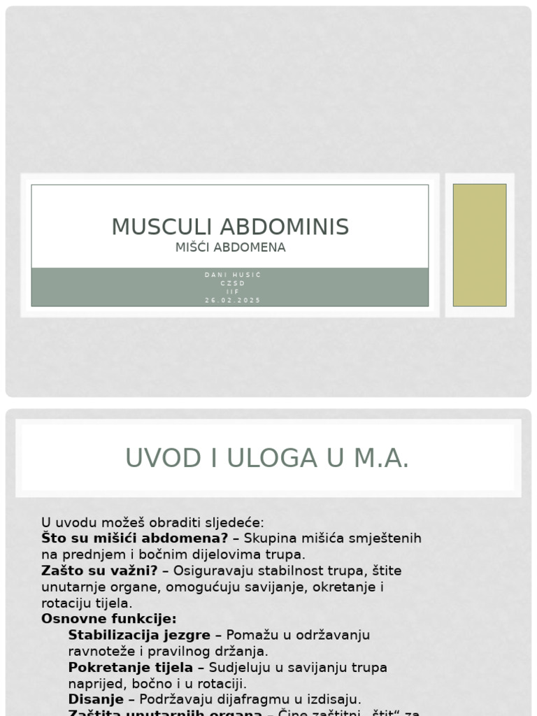 Musculi Abdominis | PDF