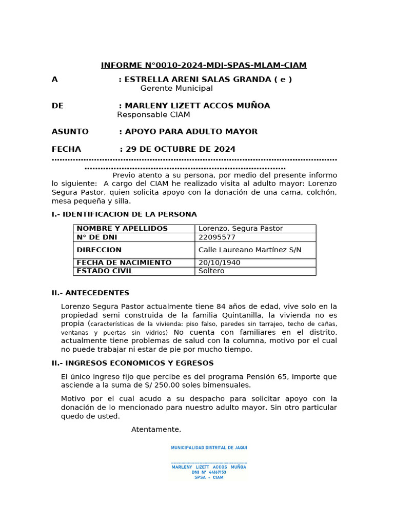 Informe #010-Ciam | PDF
