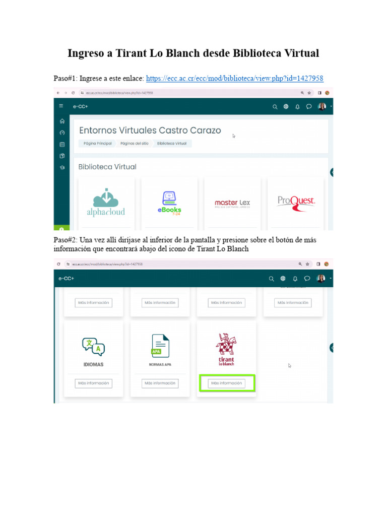 Ingreso A Tirant Lo Blanch Desde Biblioteca Virtual | PDF