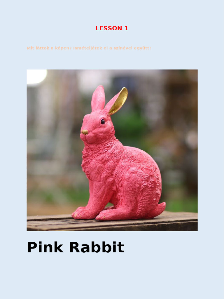 Pink Rabbit: Lesson 1 | PDF