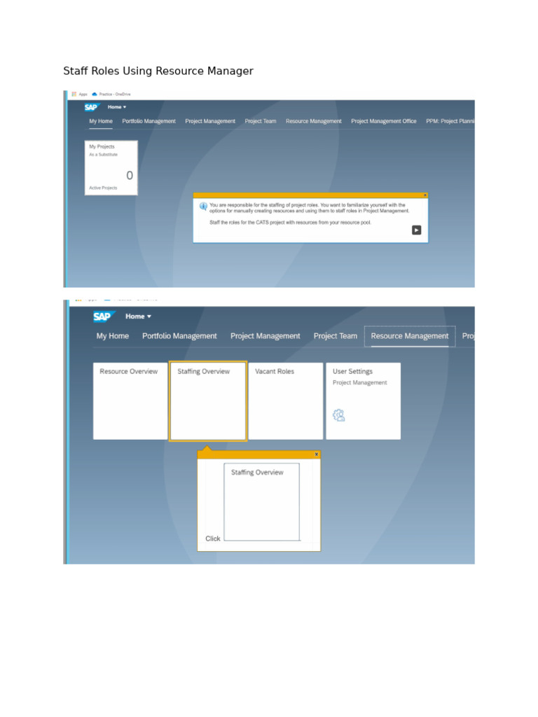 30 - Staff Roles Using Resource Manager | PDF