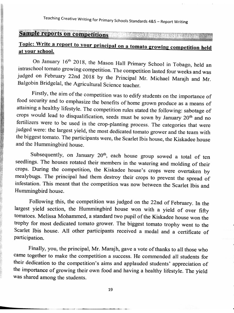 Report Writing Samples | PDF