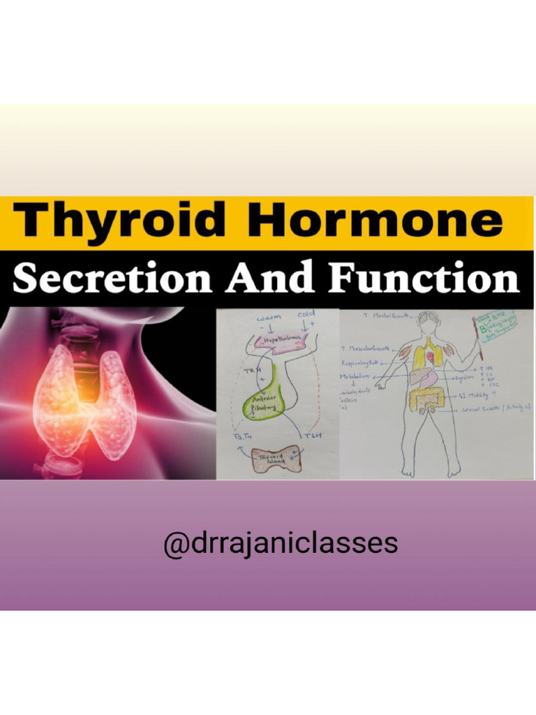 Thyroid Hormones Functions and Regulation of Secre 250608 193902 | PDF