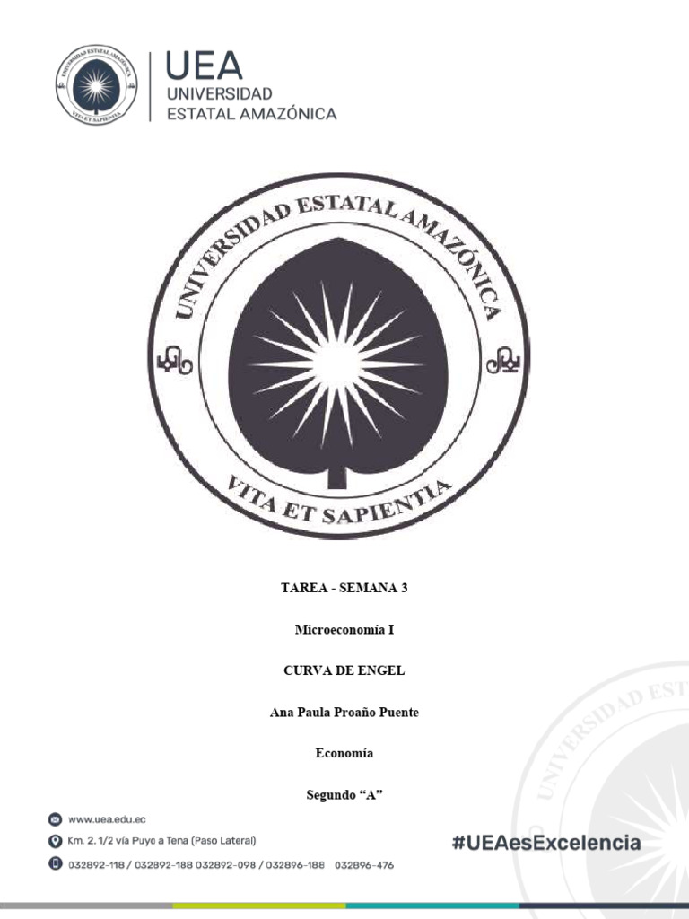Proaño Ana Ec Micro Tarea s3 | PDF | Elasticidad (economía) | Artículos de lujo