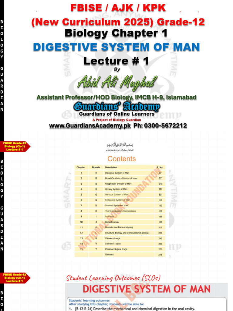 Grade 12 Biology: Digestive System | PDF | Human Digestive System ...