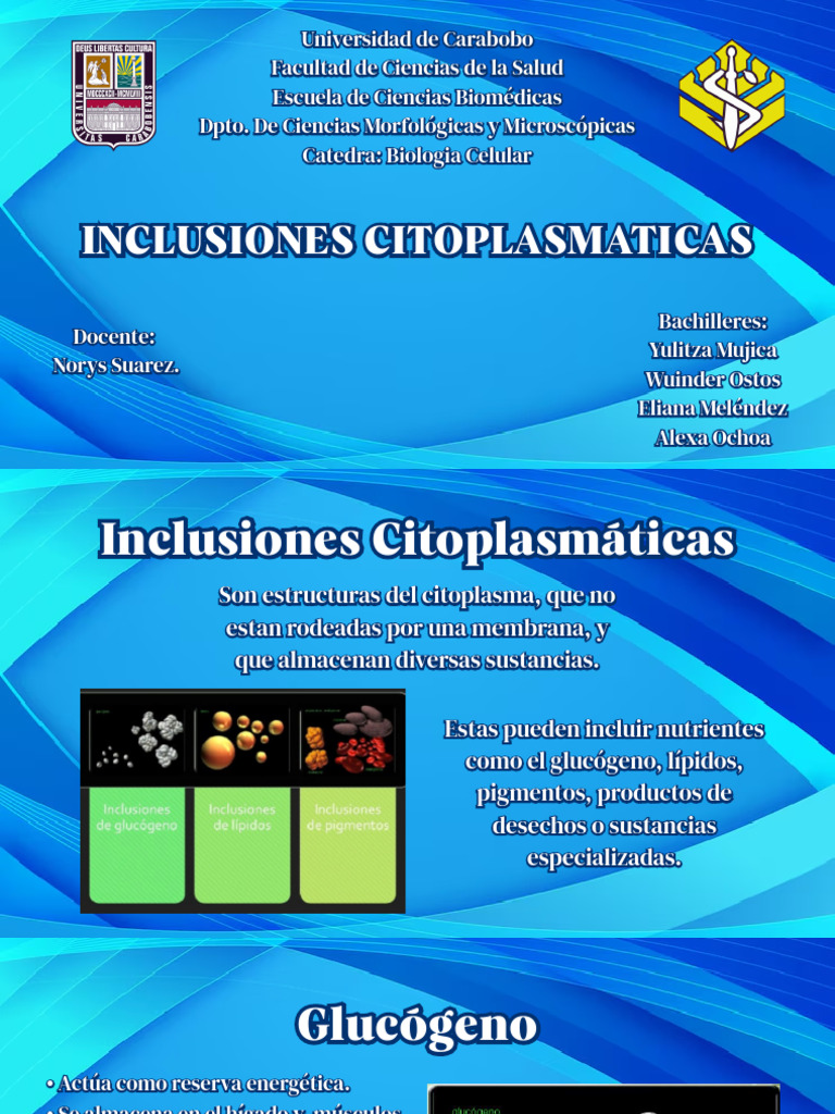 Inclusiones Citoplasmáticas y Funciones | PDF | Glucógeno | Metabolismo