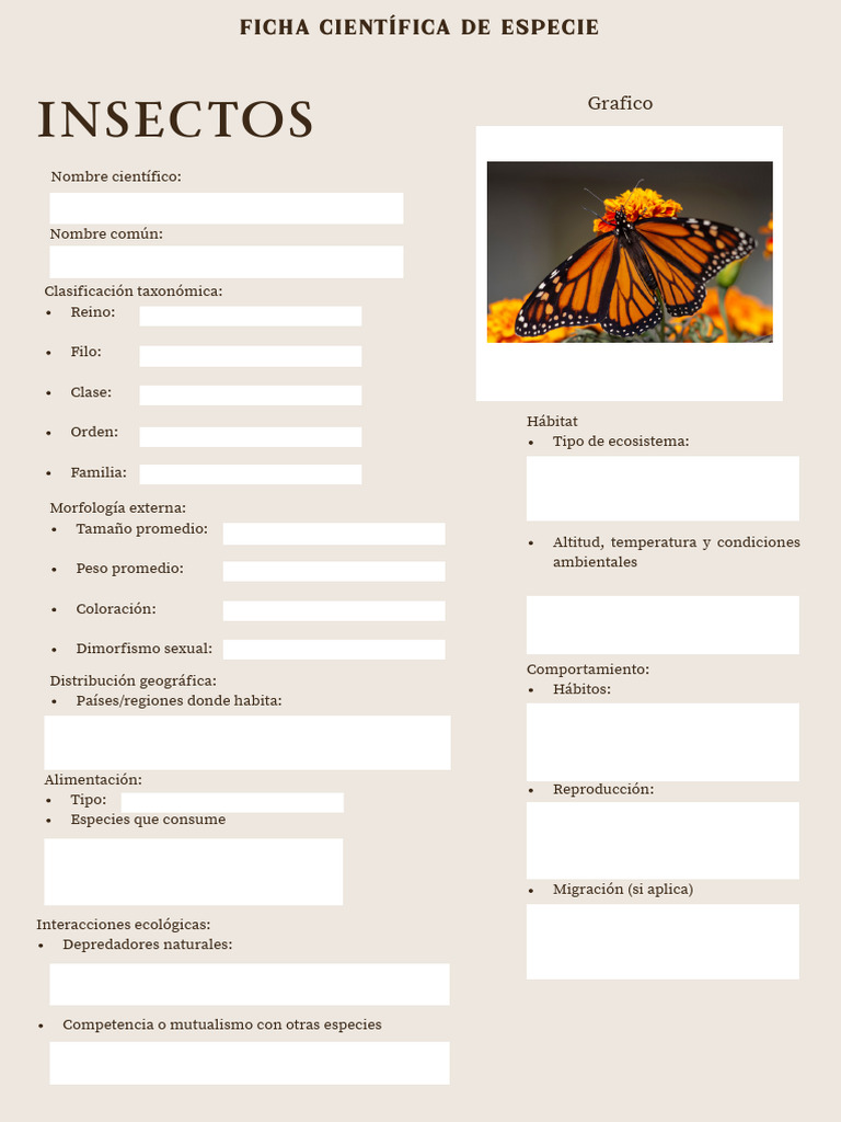 Insectos 5 | PDF | Ecología | Habitat