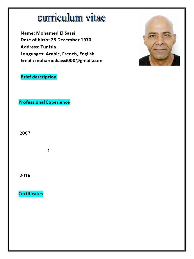 CV English (1) - Copie | PDF