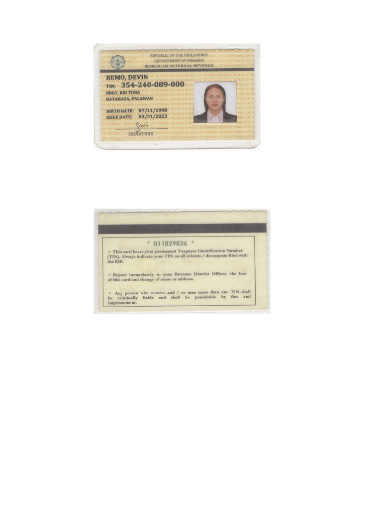 Tin Id PDF | PDF