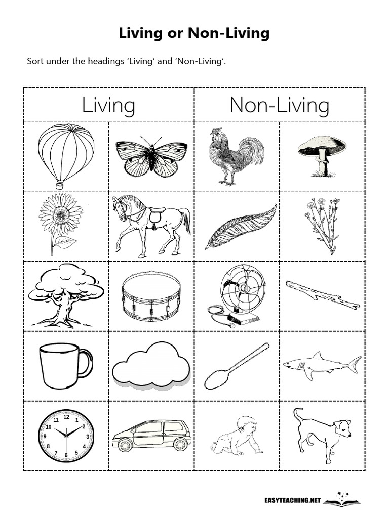 Living Non Living Cut Paste | PDF
