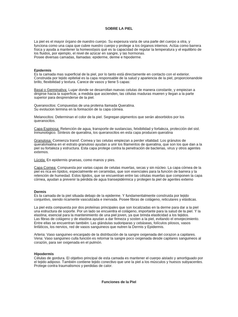 Estructura y Funciones de la Piel | PDF | Piel | Epidermis