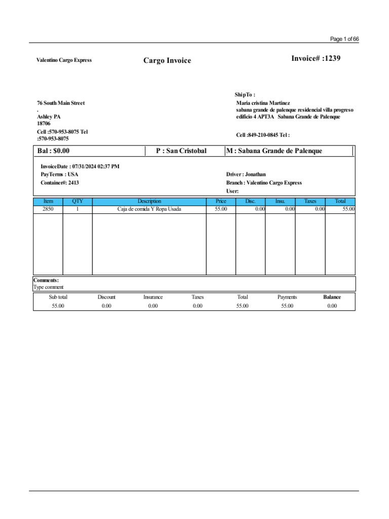 Valentino Cargo Express Invoices Summary | PDF | Invoice | Business ...