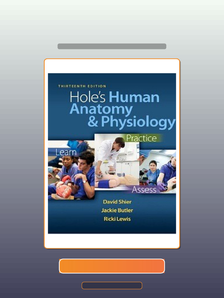 Holes Essentials Human Anatomy Physiology 13th Edition Test Bank ...