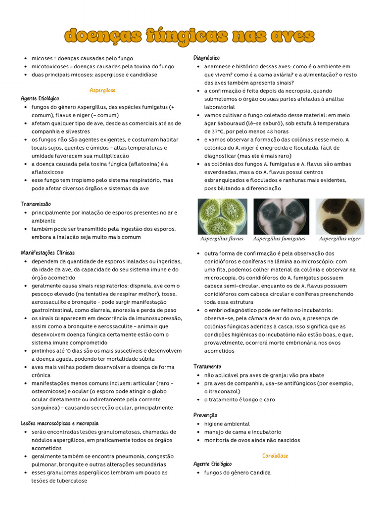Ornito Micoses | PDF