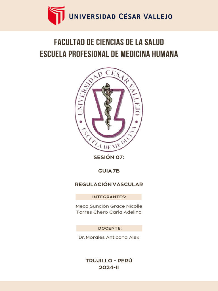 Meca Suncion - Torres CheroInforme 7B | PDF | Corazón | Vena