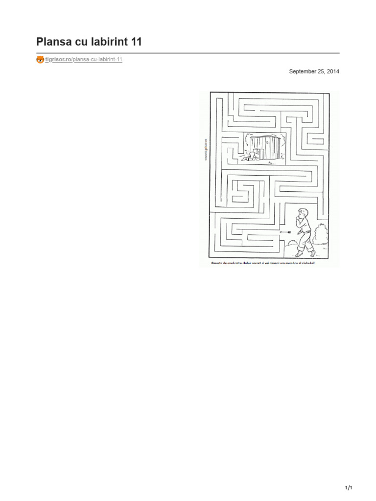 Tigrisor - Ro-Plansa Cu Labirint 11 | PDF