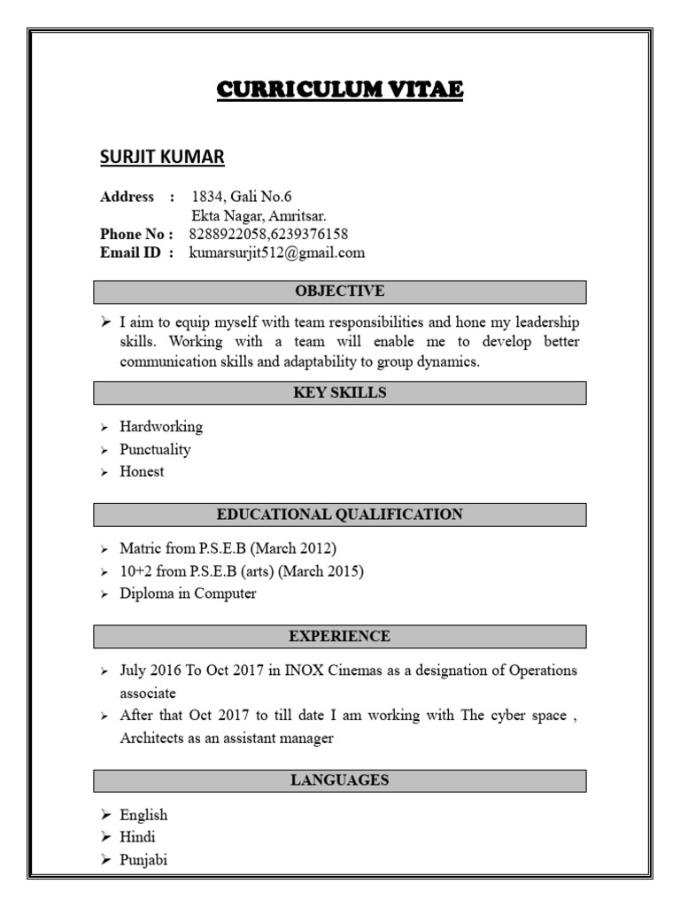 Surjit Kumar's Professional CV | PDF