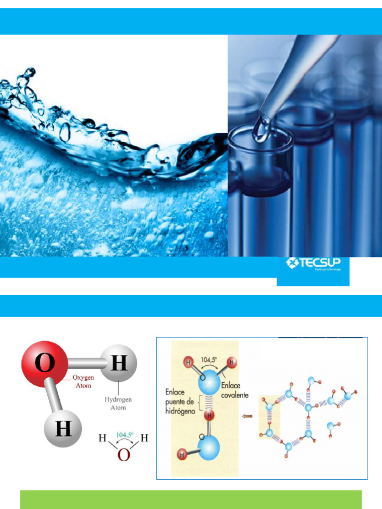 Tratamiento y Características del Agua | PDF | Solvente | Agua