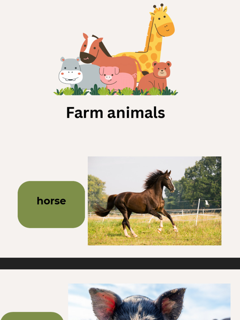 Farm Animals | PDF