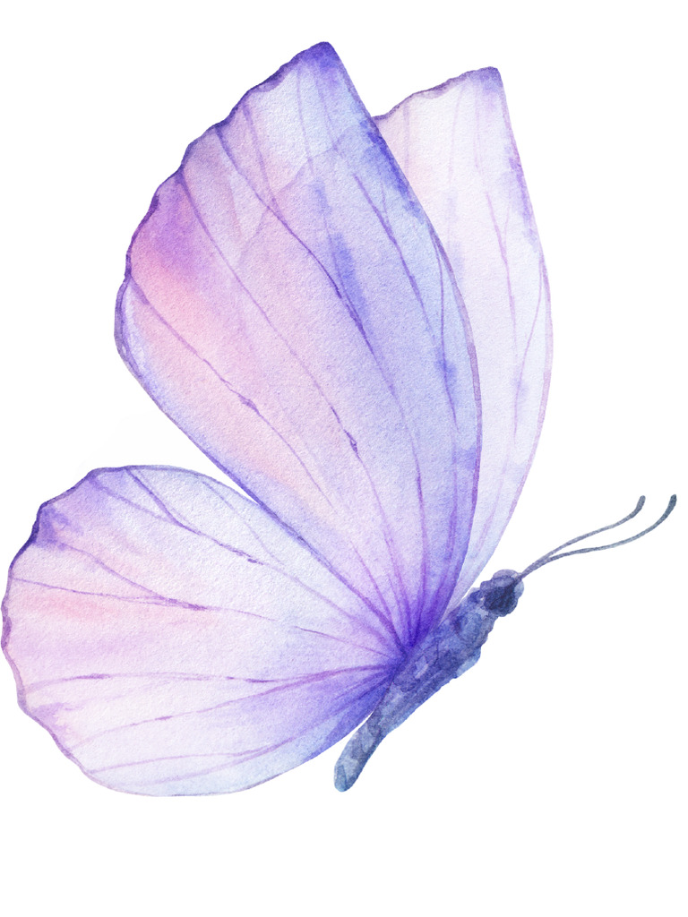 Butterflies Deco | PDF