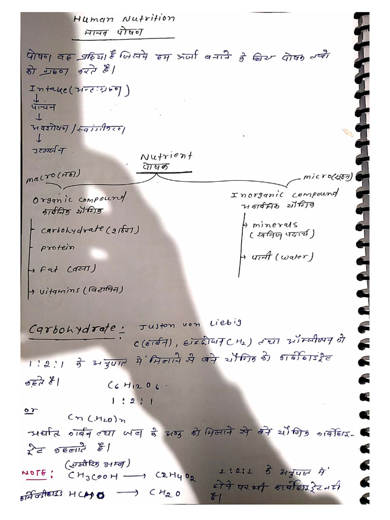 Human Nutrition | PDF