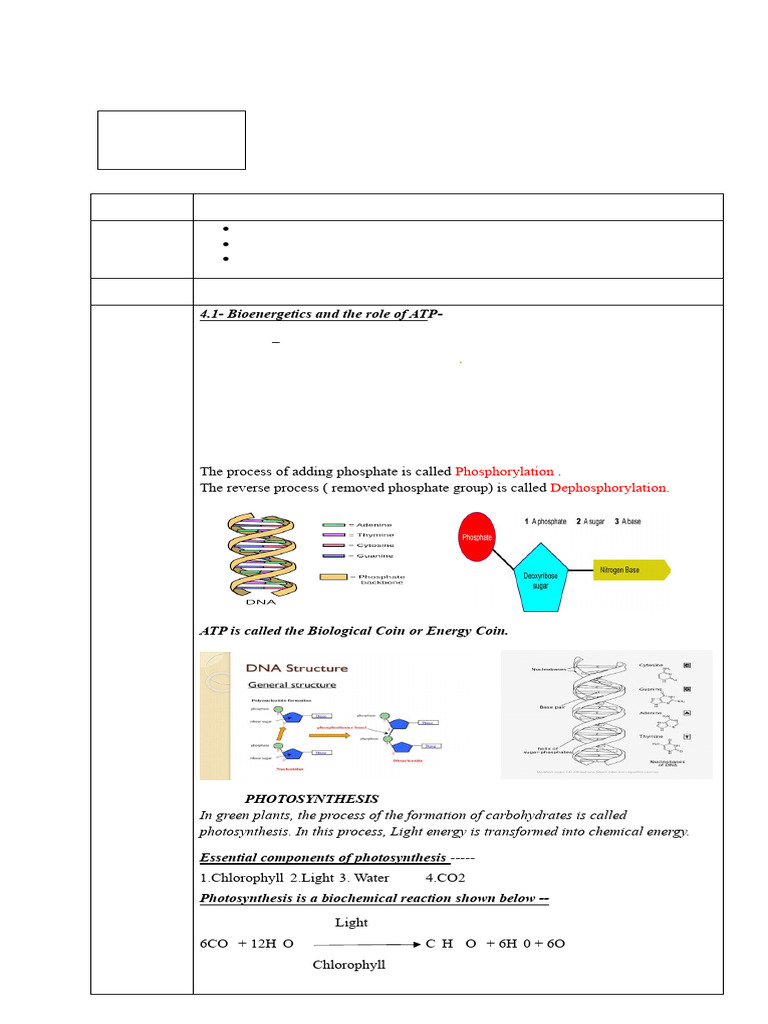 68219163cf187Ch 4 (Bioenergetics) | PDF | Cellular Respiration ...