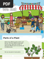 Edible Parts of Plants Explained | PDF | Fruit | Vegetables