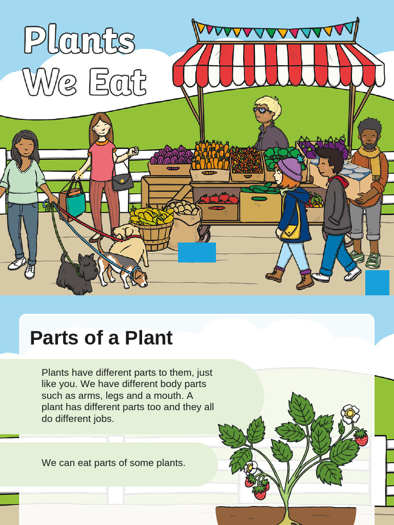 Class 2 Theme 1 Week 2 - PPT - Plant Parts We Eat | PDF