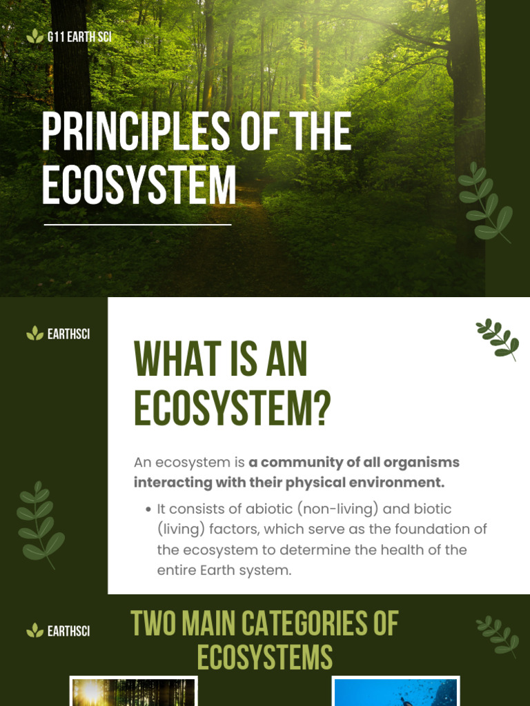 Principles of The Ecosystem | PDF