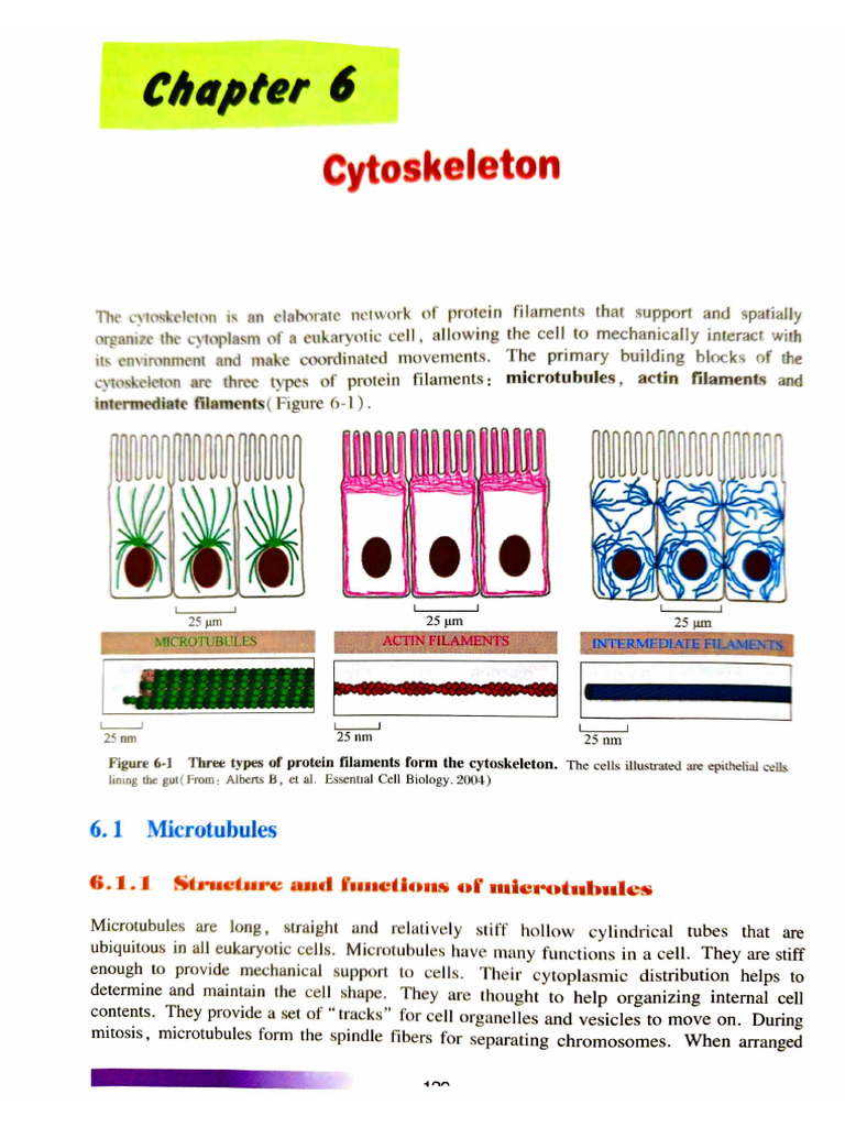 1 - Textbook Cytoskeleton 3rd Edition | PDF