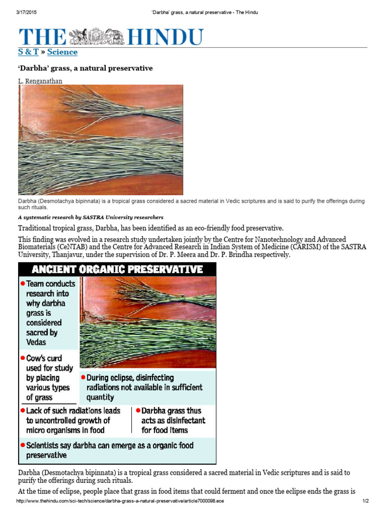 Darbha' Grass, A Natural Preservative - The Hindu | PDF | Nanotechnology