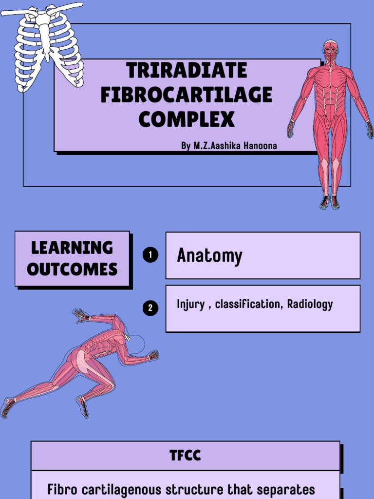 Triradiate Fibrocartilage Complex 20250620 185811 0000 | PDF