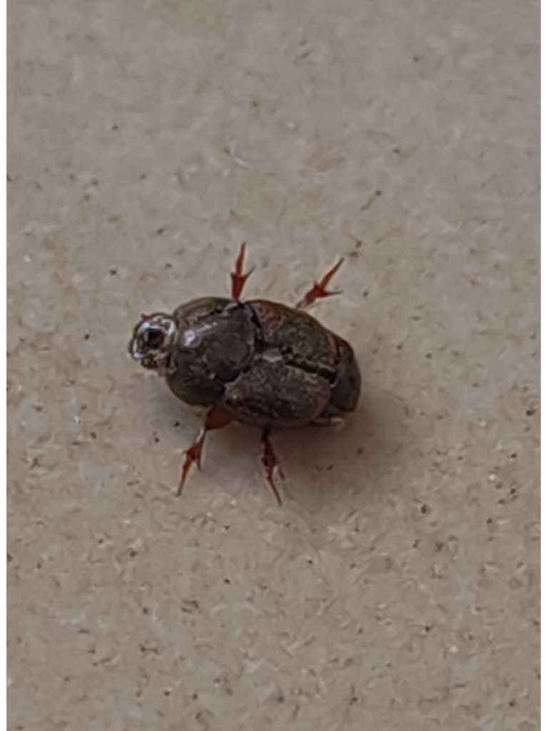 Debugging | PDF