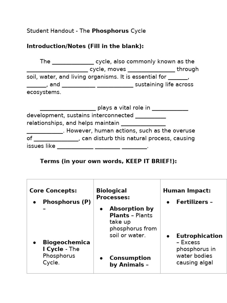 Student Handout - The Phosphorus Cycle | PDF | Phosphorus | Earth Sciences