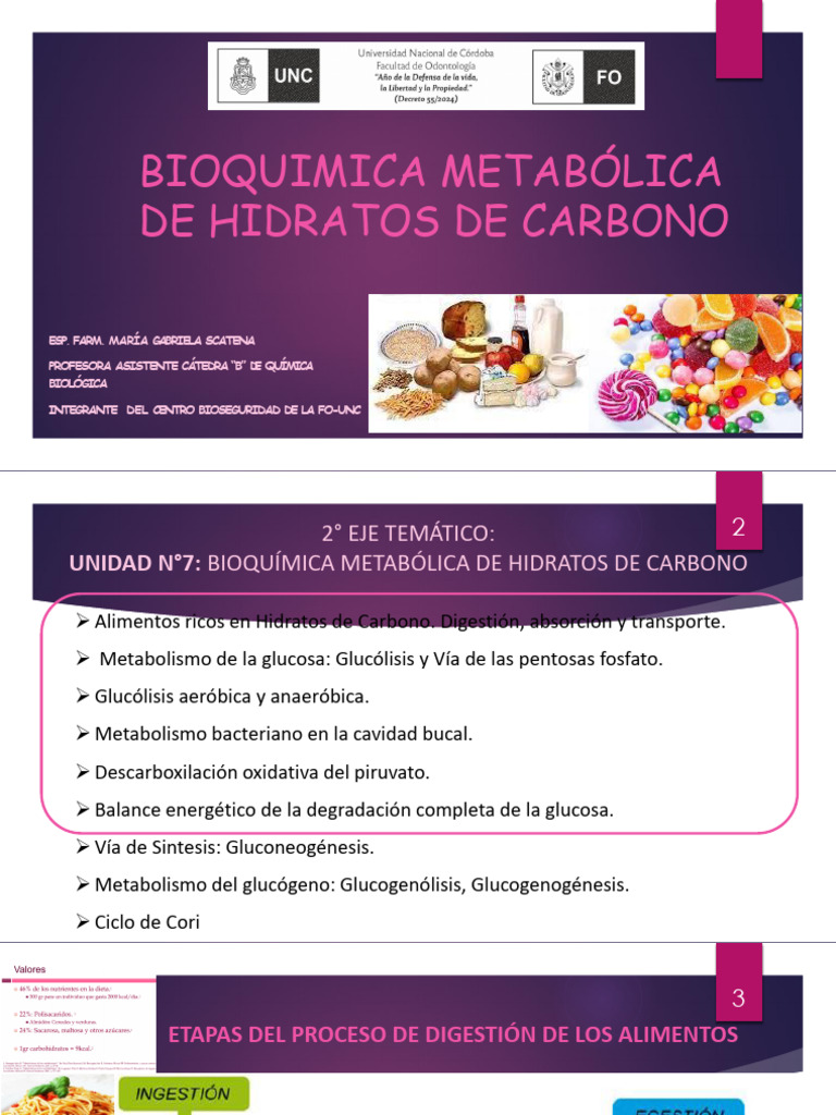 Clase TeÃ Rica METABOLISMO DE GLÃ CIDOS 2024 | PDF | Glucólisis ...